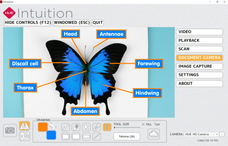 HUE Intuition: software set up – HUE