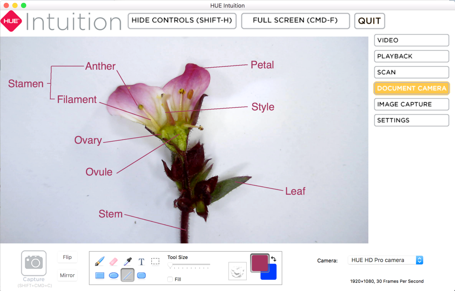 10 ways to bring science alive with your HUE visualiser – HUE