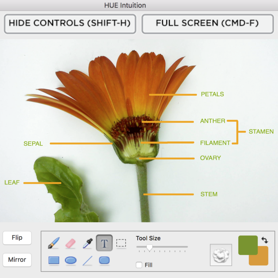 HUE HD Pro Camera – HUE