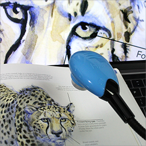 HUE HD Camera – HUE