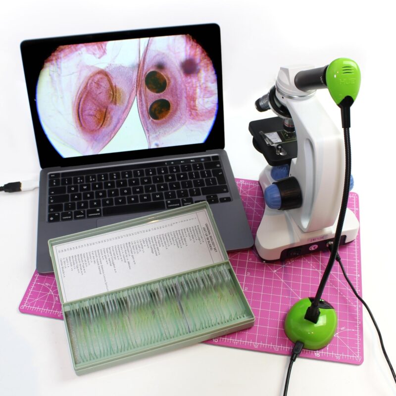 The HUE HD Pro Visualiser and Bitpaper: perfect online tutoring ...