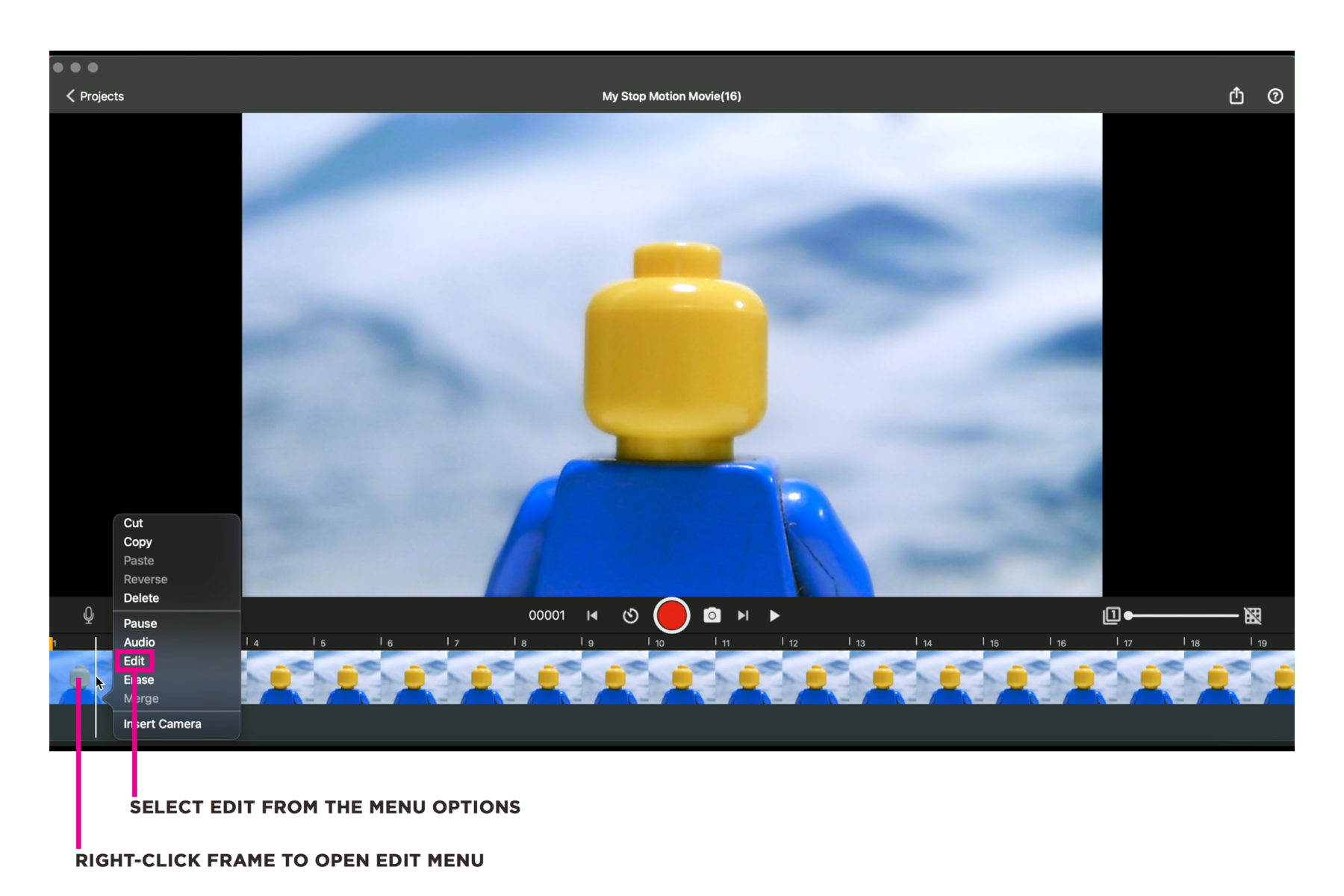Stop Motion Studio animation software – HUE
