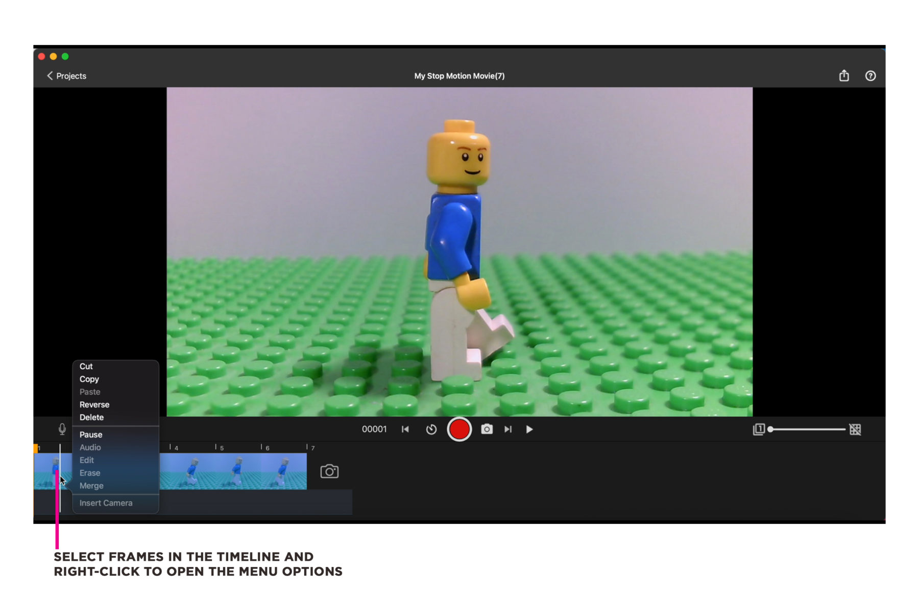 Stop Motion Studio animation software – HUE